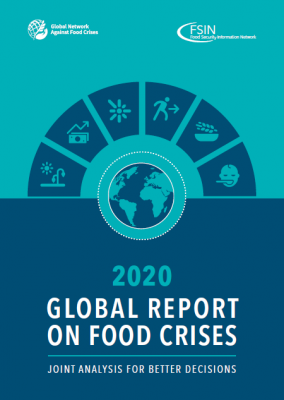 Global Report on Food Crises 2020 | Food Security Information Network (FSIN)